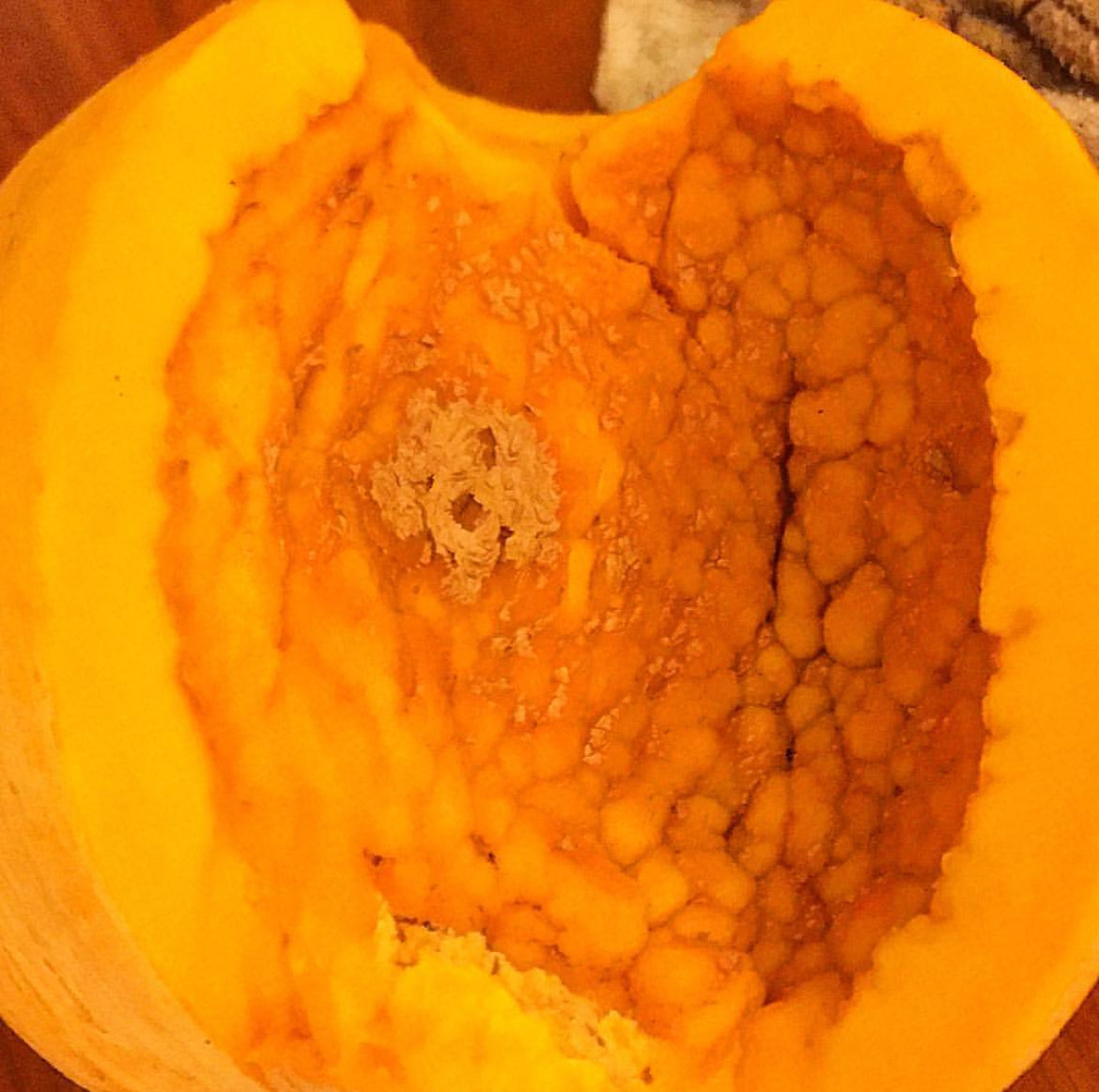 Homemade Tropical Fruit Cuban Pastries – Lara Farms Miami