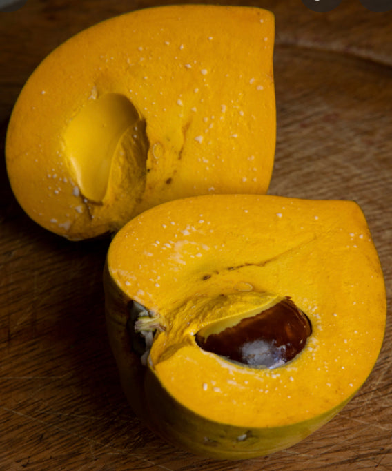 Grafted Canistel AKA Egg Fruit tree 1 Gallon (4 Varieties) – Lara Farms ...