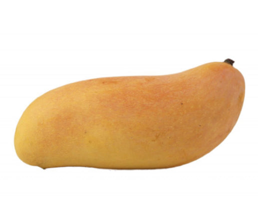*Grafted MANGO TREE 1 GALLON (70+ VARIETIES WOW!) – Lara Farms Miami