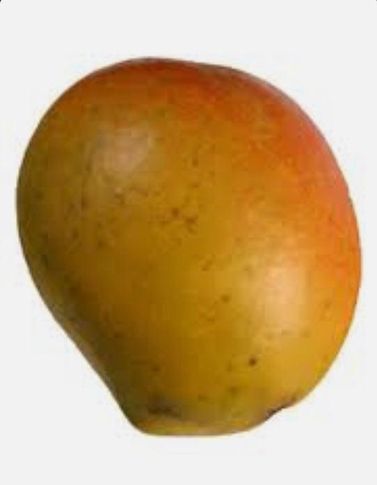 Mango Budwood Cultivars For Home Grafting – Lara Farms Miami